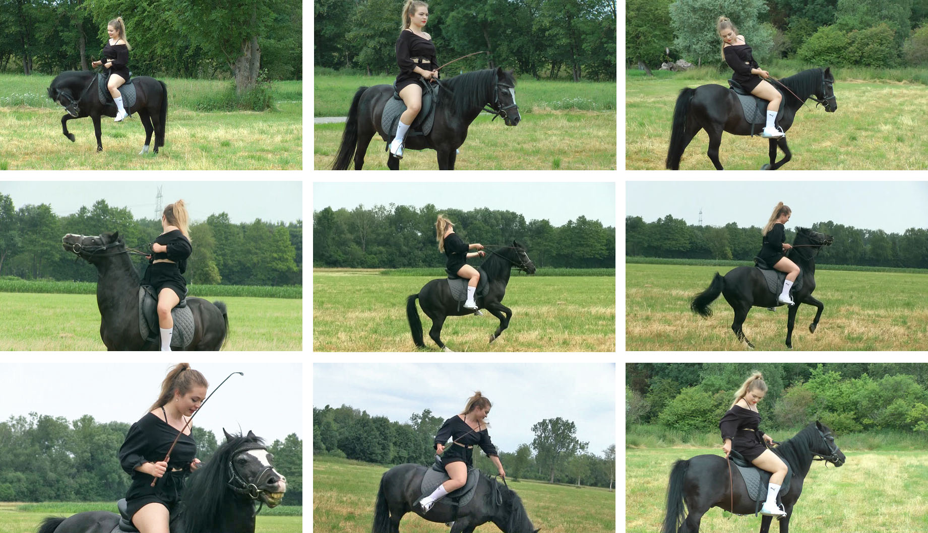 Riding Ladies / Female Video Stores - clips4all