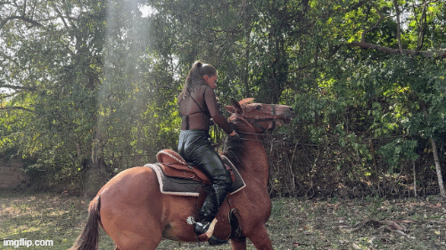 Horses / Riding (Ladies) - clips4all
