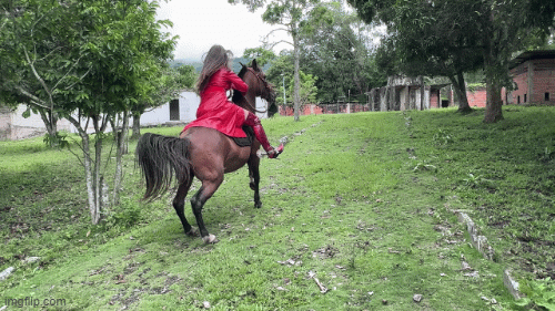 Horses / Riding (Ladies) - clips4all