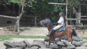 CL8565_SpurGoddessDayanaRound2 - Horses - clips4all