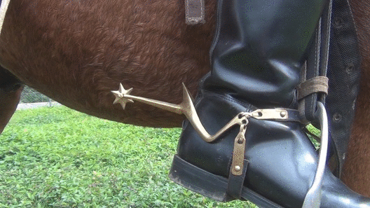 CL8565_YF_RebenqueAndMedievalsDayana - Ponies - clips4all